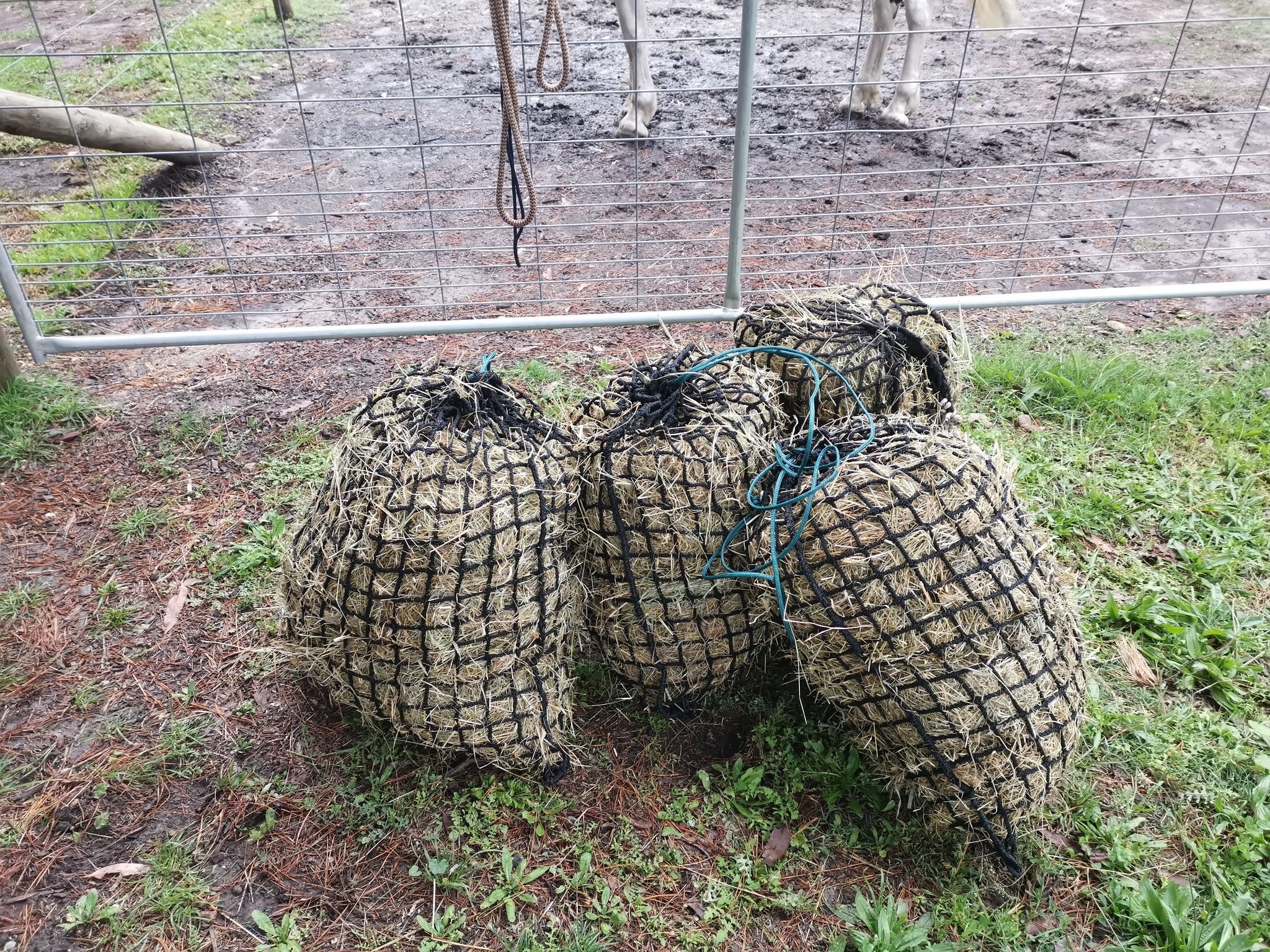 Which Hay Net Hole Size is Right for Your Horse? – Aussie Grazers