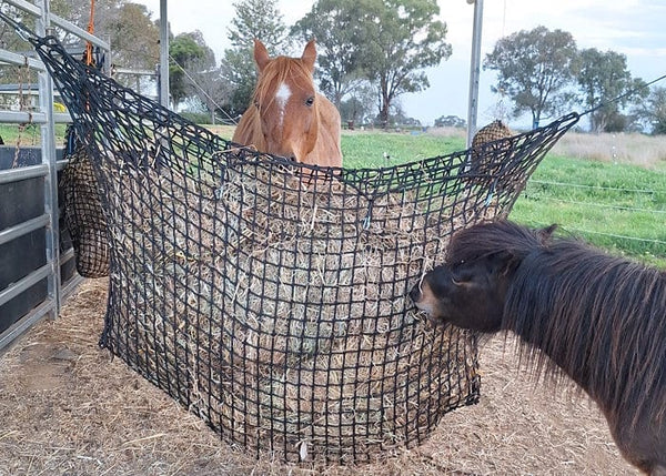 Hay-Stay Hanging Knotless Hay Net – Aussie Grazers
