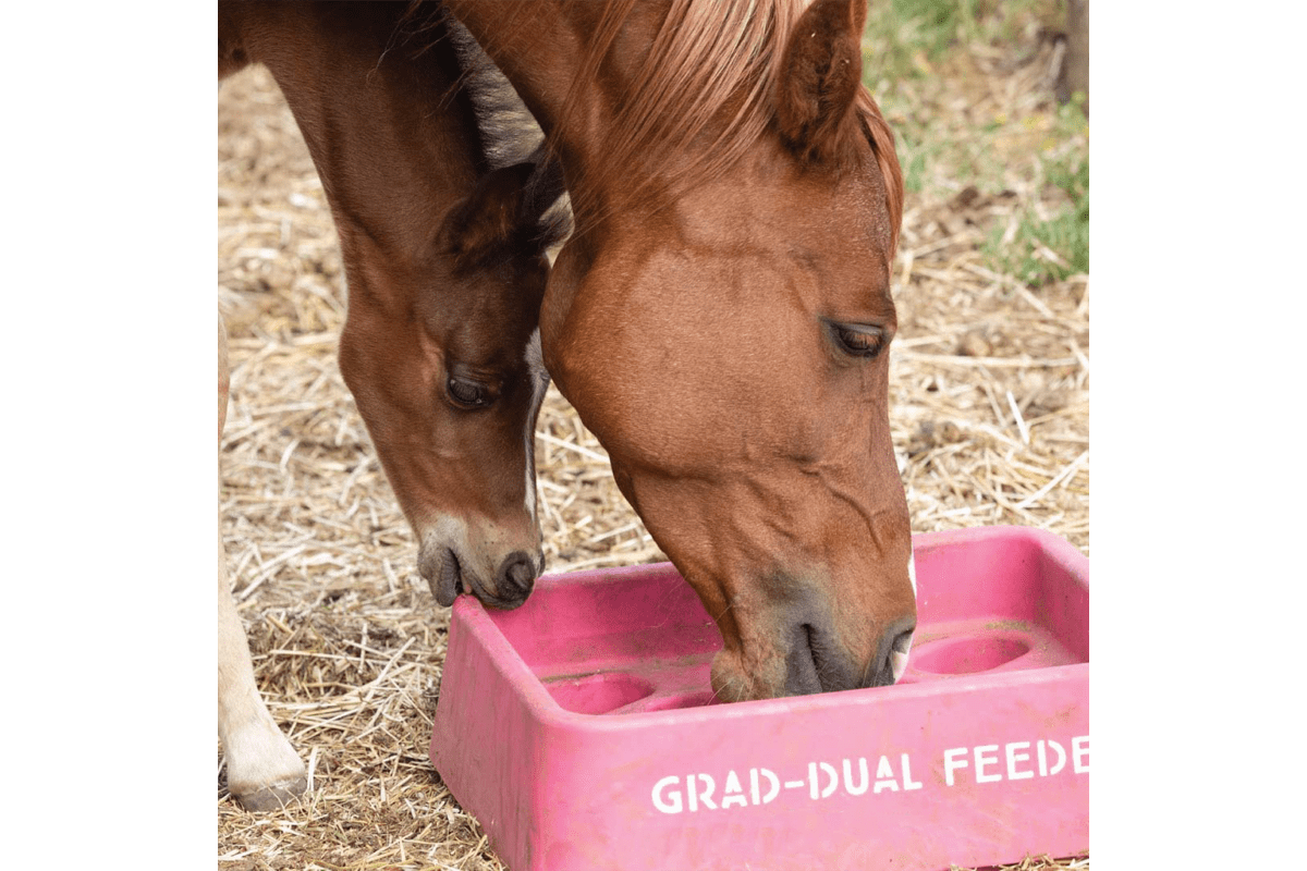 Horse Slow Feeding Grad-Dual Feeder – Aussie Grazers