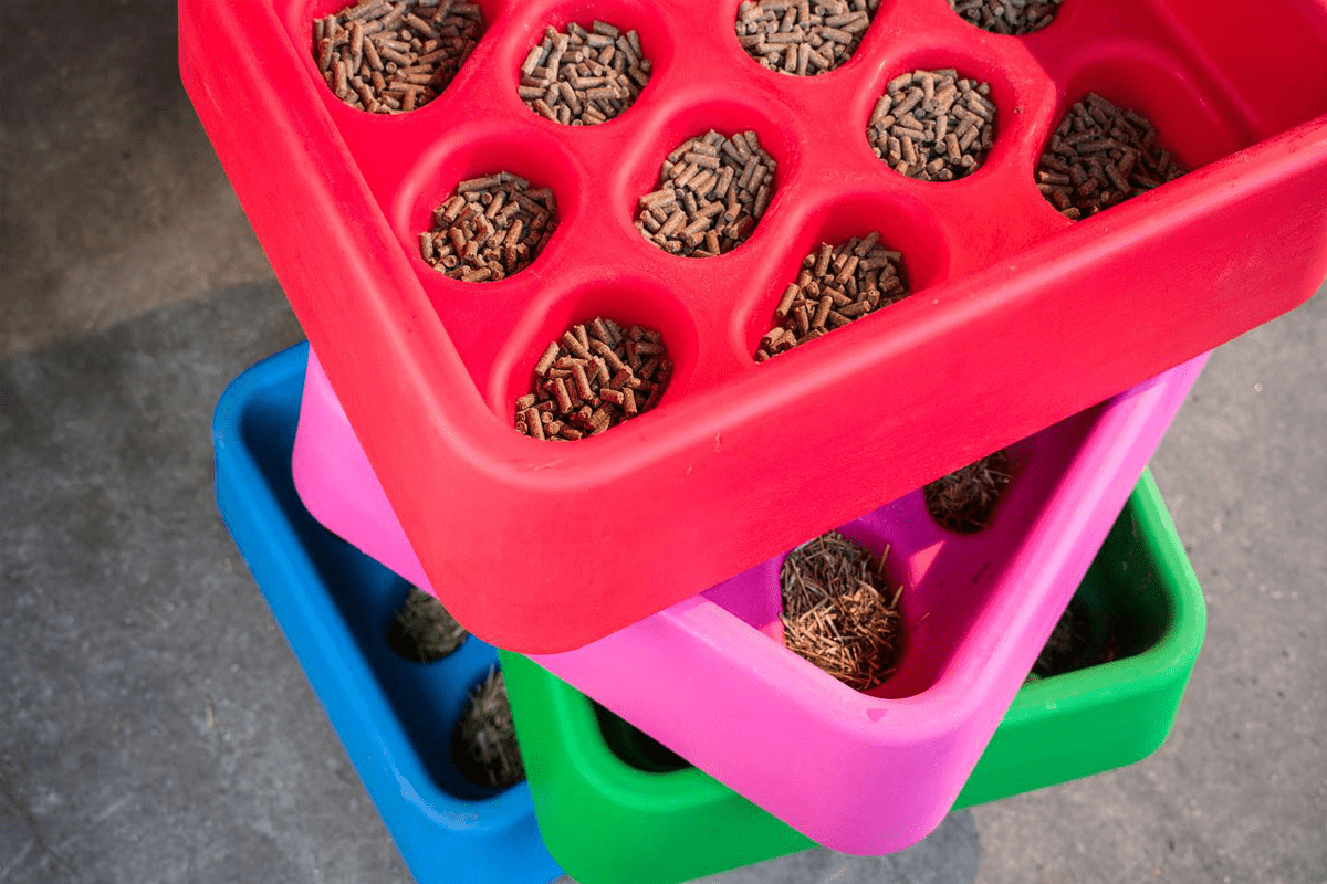 Horse Slow Feeding Grad-Dual Feeder – Aussie Grazers