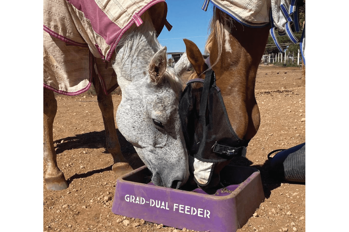 Horse Slow Feeding Grad-Dual Feeder – Aussie Grazers