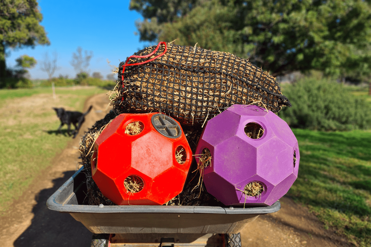 Horse Slow Feeding Hay Play Balls – Aussie Grazers