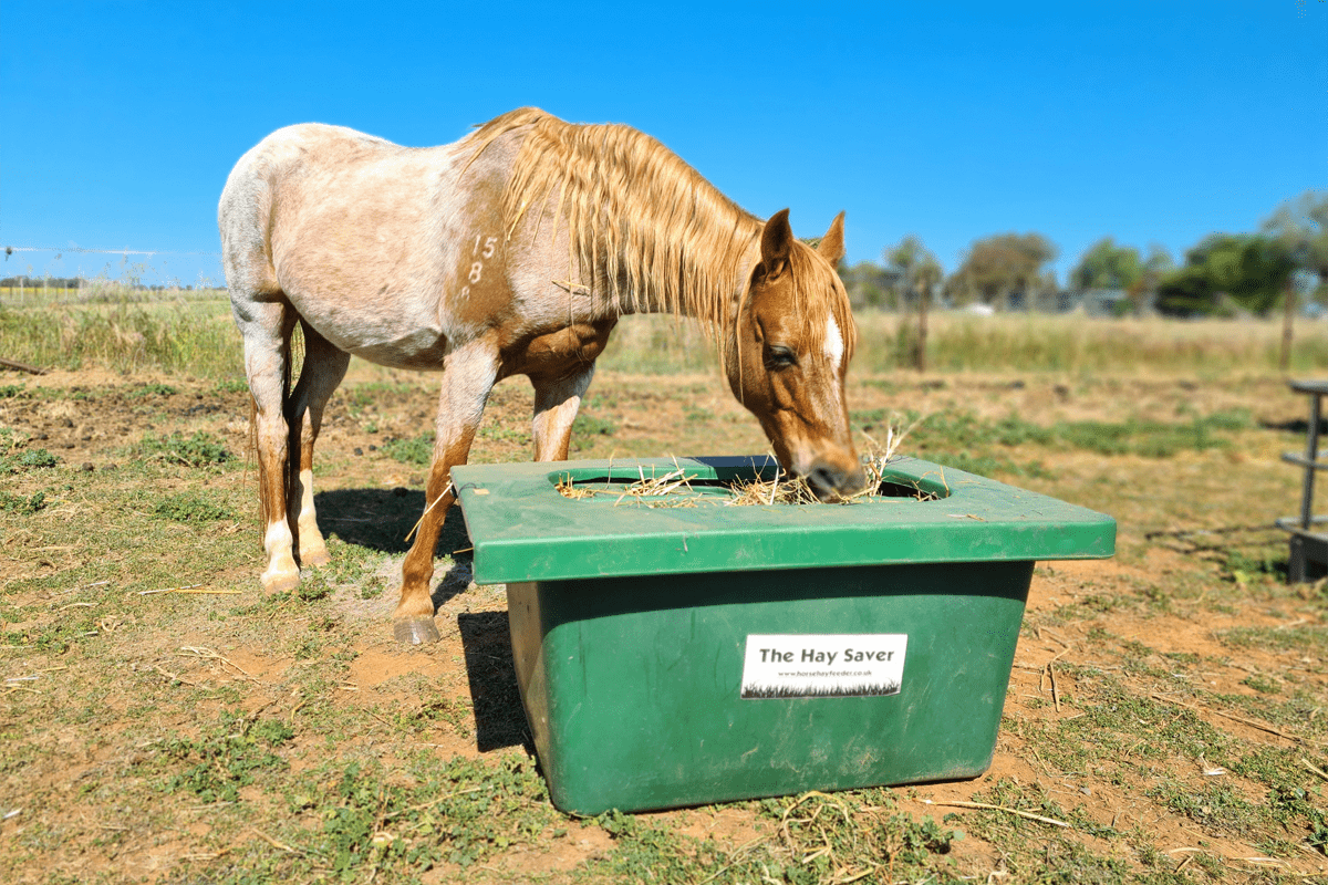 The Hay-Saver - Horse Slow Feeder | Aussie Grazers