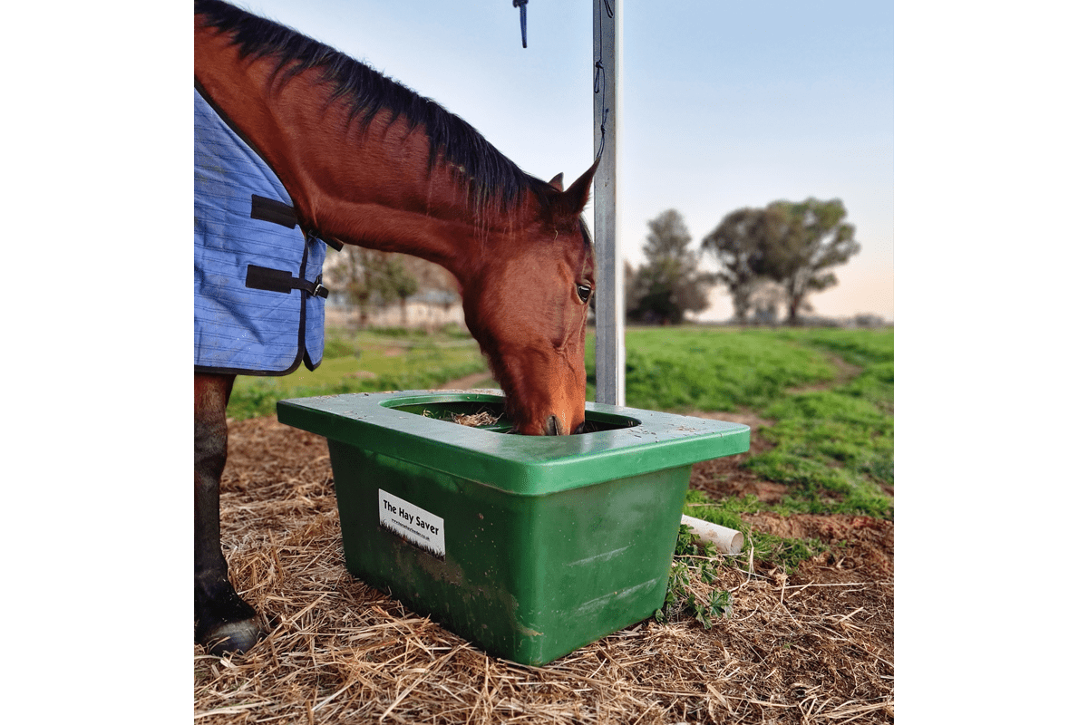 The Hay-Saver - Horse Slow Feeder | Aussie Grazers